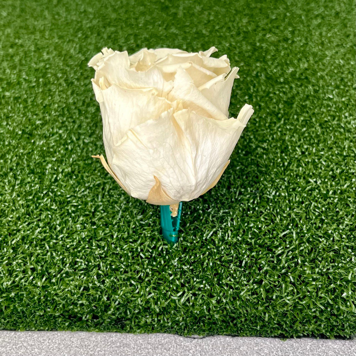 Eon Grass sheet 12"x12" – Petal+Eon